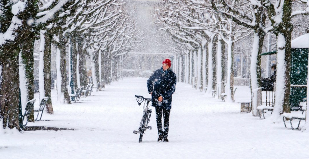 7 Consigli Pratici per Proteggere la tua Bici dal Freddo – Evolution ...