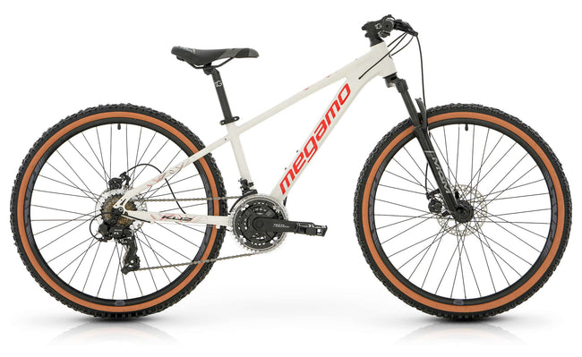 Biciclette MTB: disponibili su EvolutionBikes.it – Evolution Bikes IT