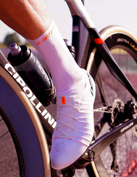 Evolution Bikes | Store Online Ciclismo | Qualità e Convenienza ...