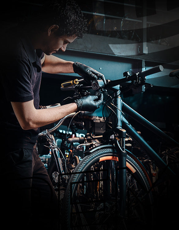 Evolution Bikes | Store Online Ciclismo | Qualità e Convenienza ...